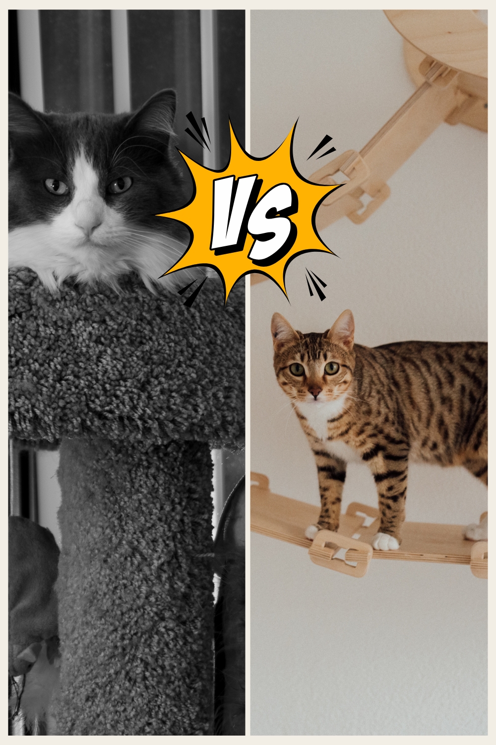 OJCommerce Web Stories: Home, Furniture, and Lifestyle Tips