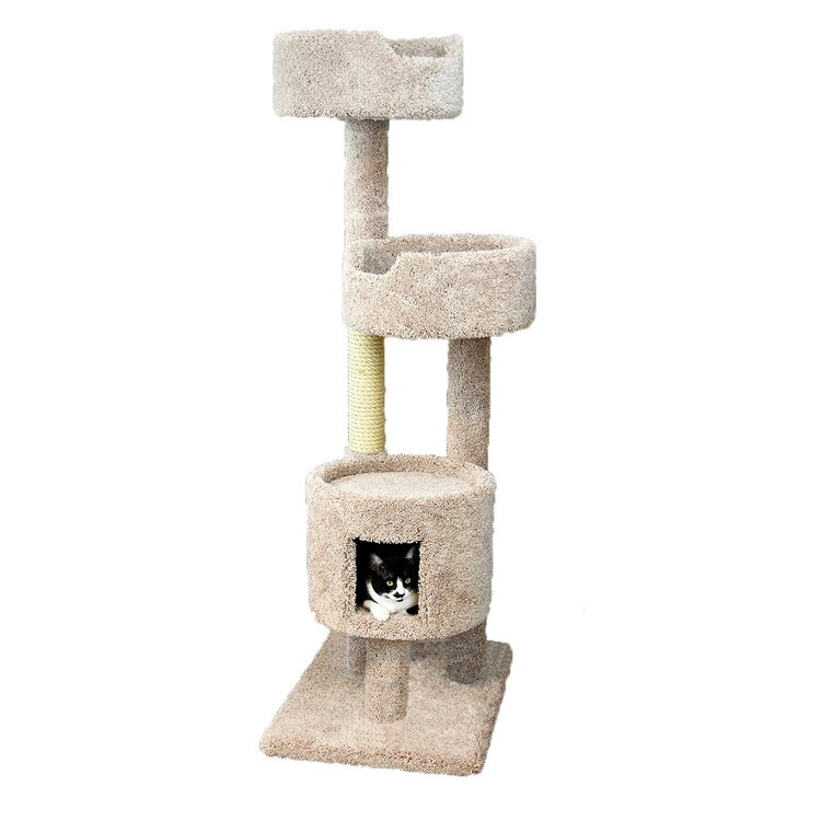 New Cat Condos Cat Penthouse