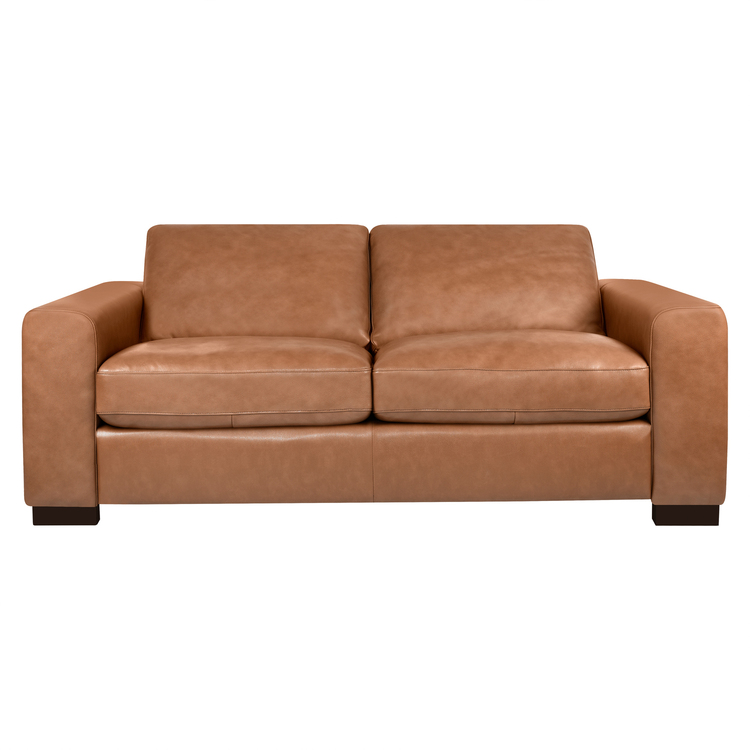 Naomi Home Freya Oversized Genuine Leather Loveseat – Elegant Design and Luxurious Comfort ...