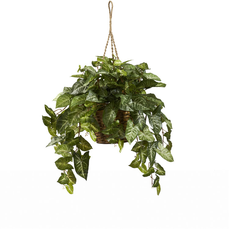 Greenery Hanging Plant Basket, Artificial Nephthytis with 20 Height ...
