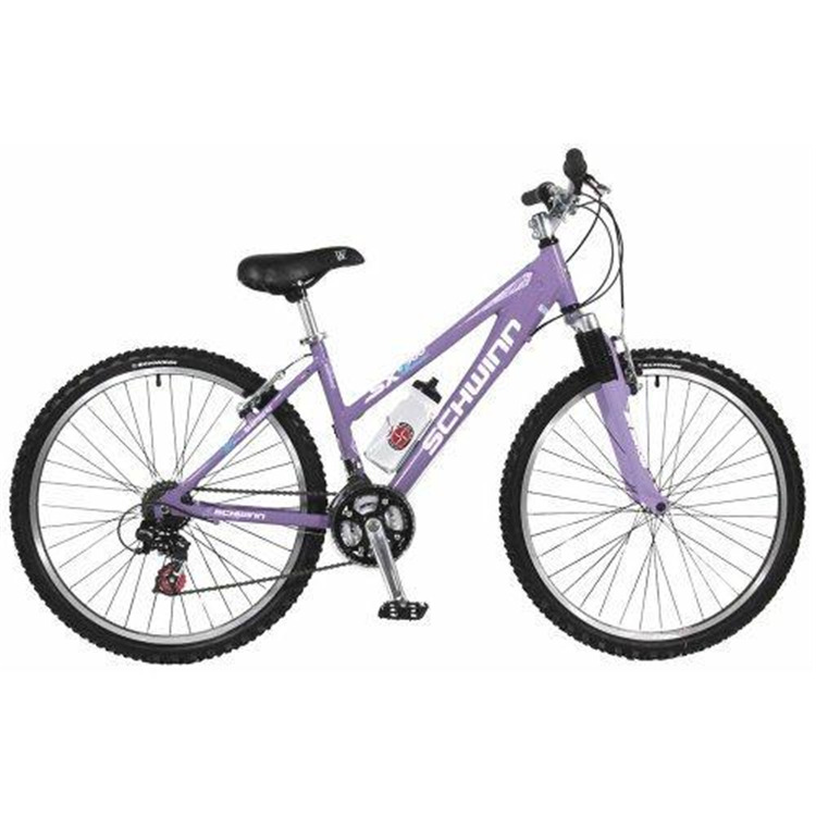 Schwinn sx2000 aluminum store